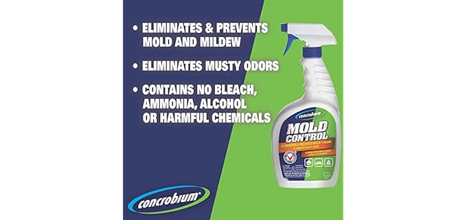 Best Shower Cleaner Solutions to Prevent & Remove Mold & Mildew ...